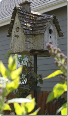 Fishtail Cottage Blooming Spring…